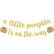 Autumn Boho Pumpkin Baby Shower Banner A Little Pumpkin is On The Way ...