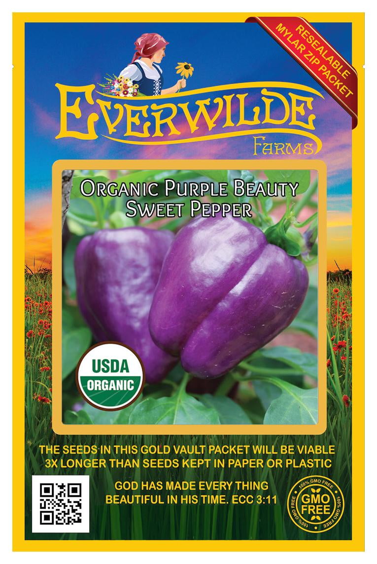 Purple Beauty Pepper Seeds