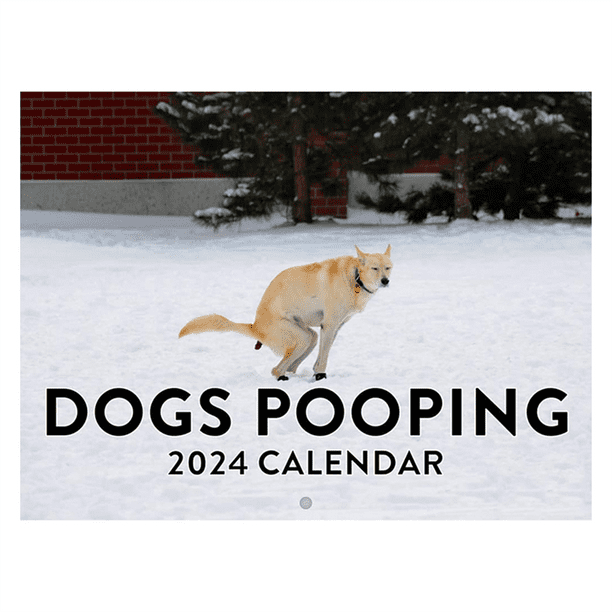 Pooping 2024 Wall Calendar Funny Dog Pattern 2024 Wall Calendar for New ...
