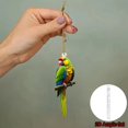 Adorable 2D Macaw Acrylic Auto Hanging Charm Artistic Macaw Inspired ...