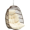 Dextrus Egg Lounge Chair Egg Chair With Stand Cushioned Wicker Pe
