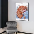 Anatomical Poster Kidney Posters Picture Print Wall Art Poster Painting ...