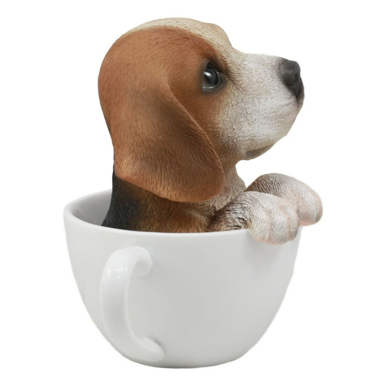 Teacup Beagle Puppies