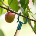 Tree Limb Support Alloy Metal Stabilizer for Outdoor Vineyard ...