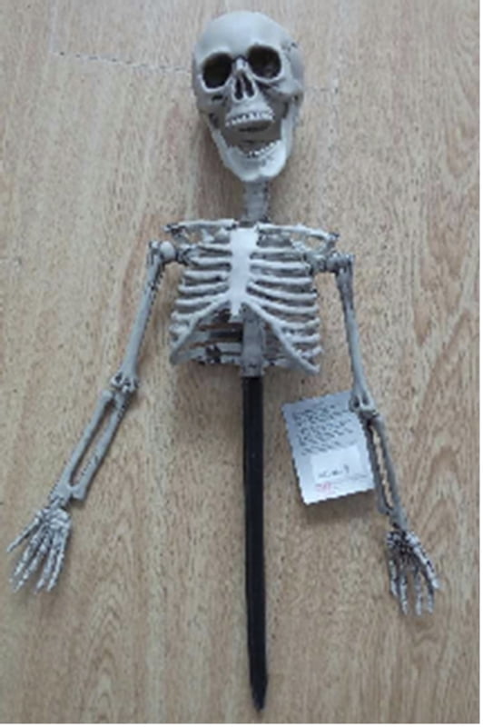 Darice Yardstake Upper Body Skeleton - Walmart.com