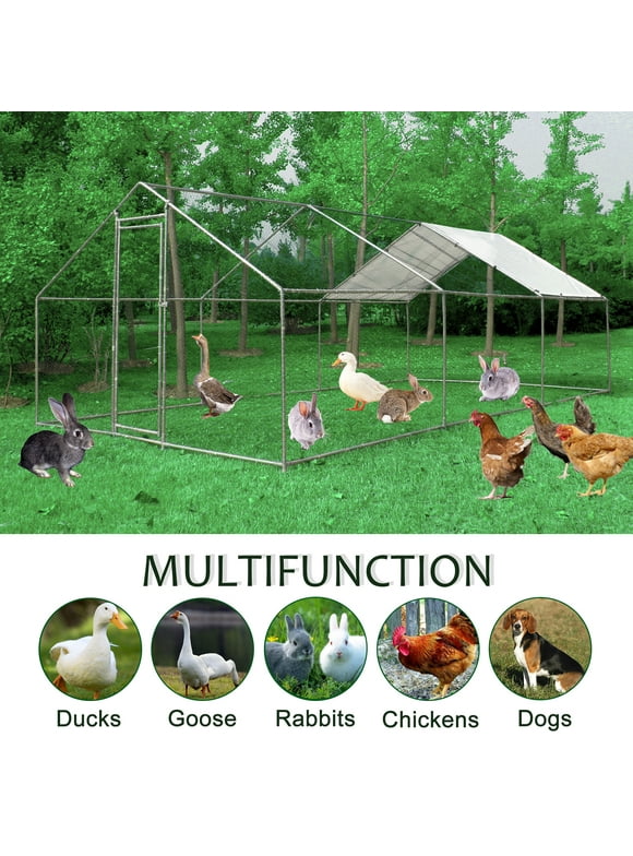 Chicken Coops in Chickens - Walmart.com