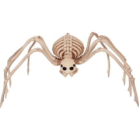 Skeleton Spider - Walmart.com