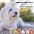 24-Pack Mixed Color Polyester Pet Flower Topknots with Adjustable ...