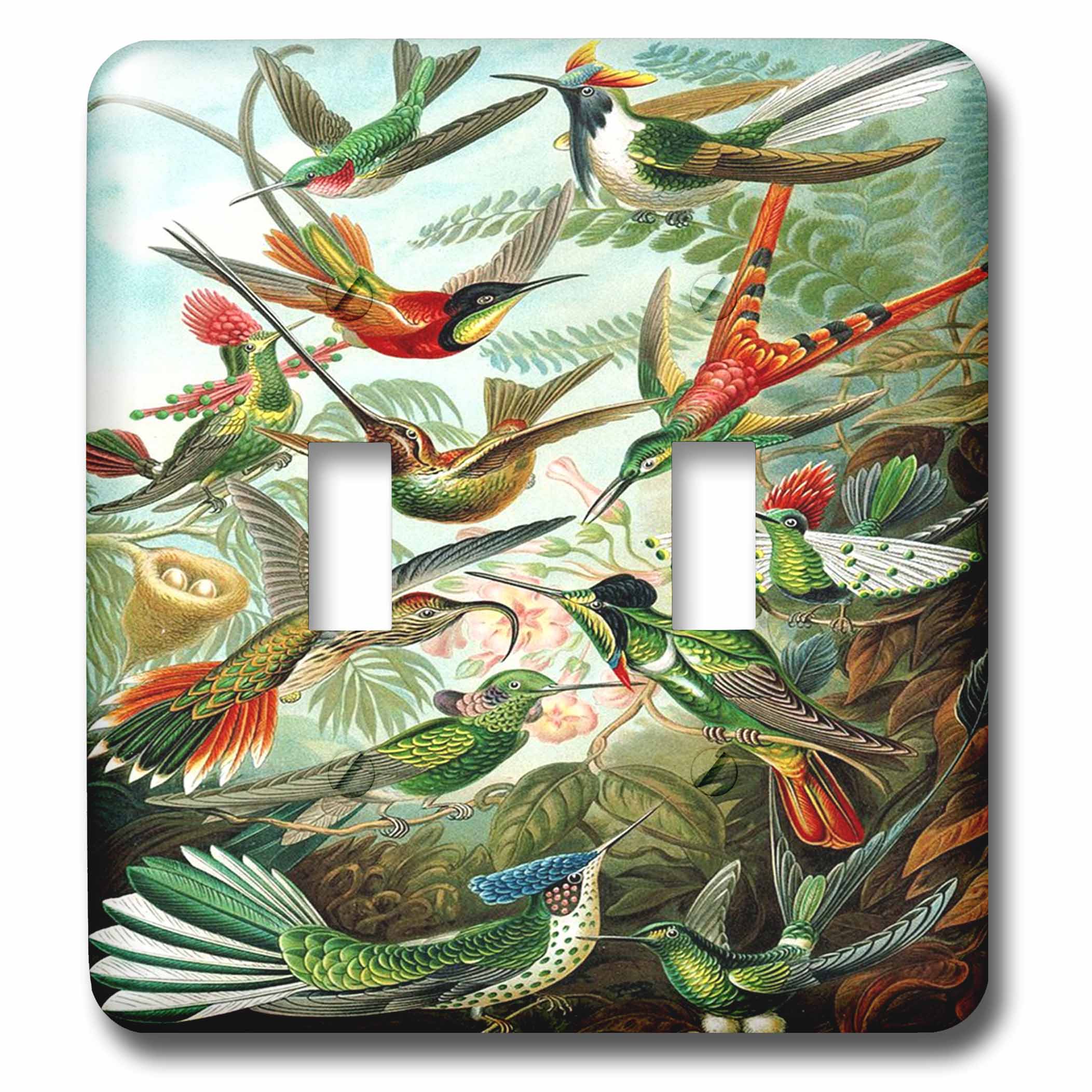 3dRose Famous Biologist Sketch Of Hummingbirds 1904 - Double Toggle ...