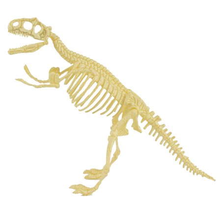 fashionhome 4D Assembly Artificial Wild Life Dinosaur Skeleton Toy Set ...