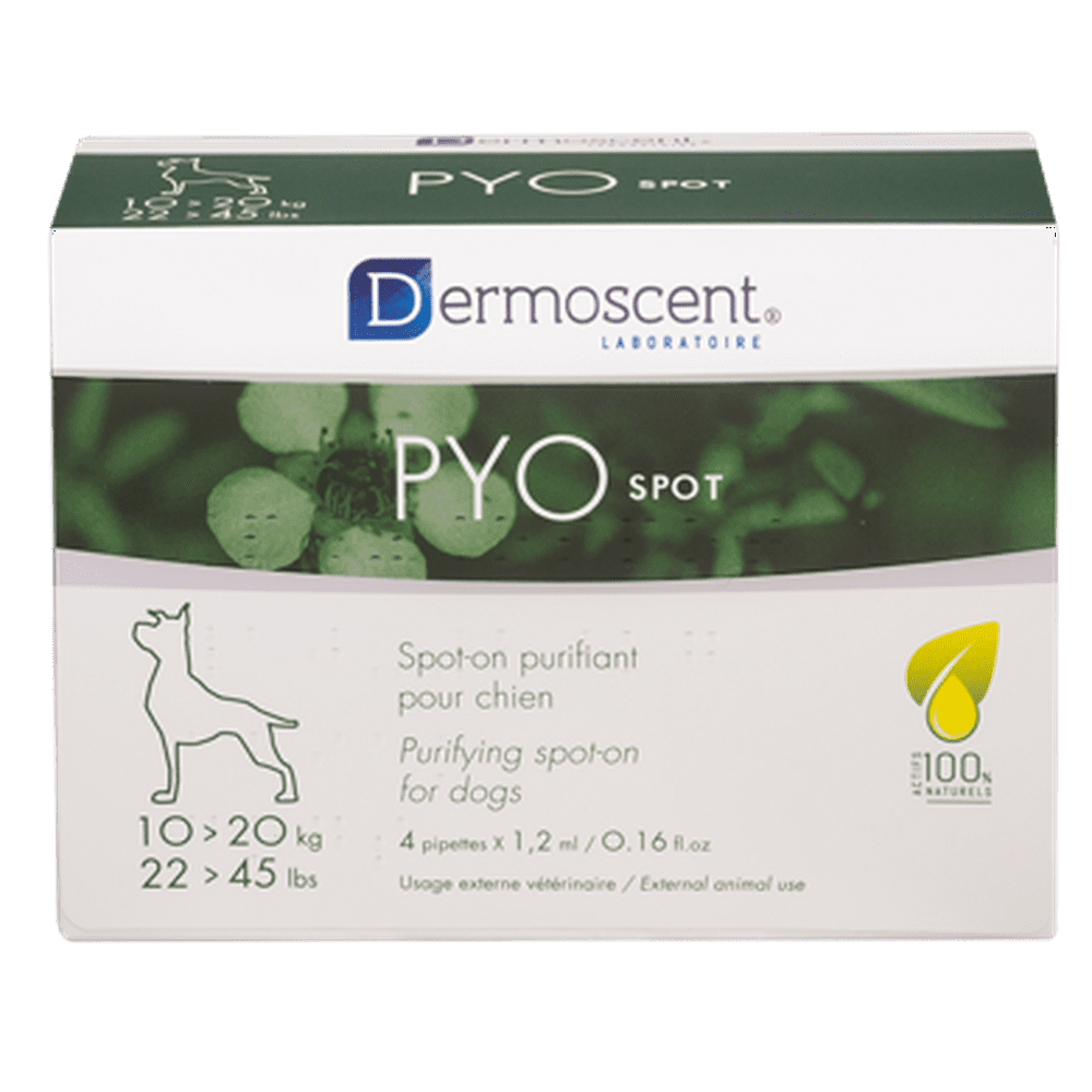 Dermoscent PYO Spot for Medium Dogs [22-44 lbs] (4 count) - Walmart.com ...