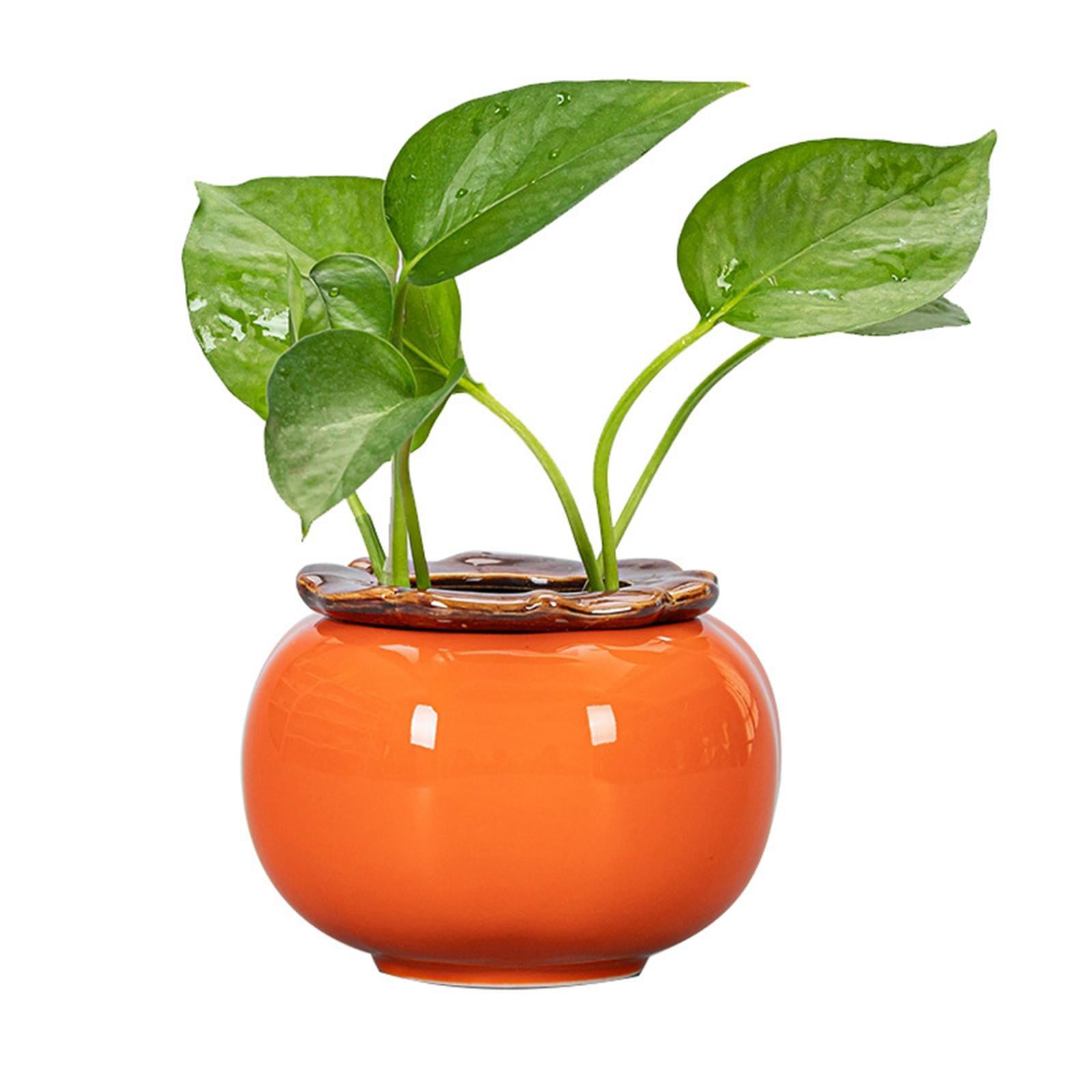 Ceramic Flower Pot Pots Desk Bud Vase Organizer Planter Persimmon ...