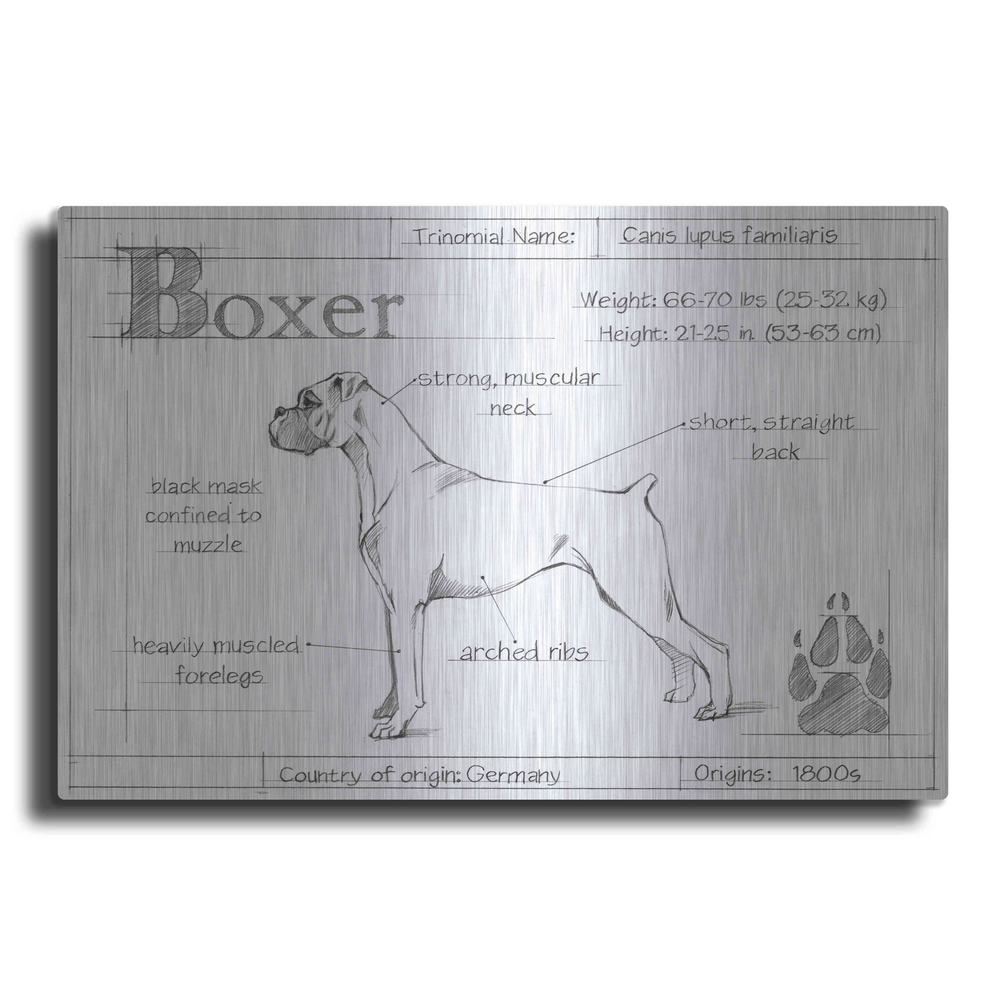 Luxe Metal Art 'Inverted Blueprint Boxer' by Ethan Harper, Metal Wall ...