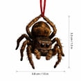 Acrylic 2D Ladybug Spider Hanging Ornament for Wall Home Decoration and ...