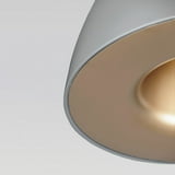 ET2 Lighting E24914-BKSBR 16 in. Fungo LED Pendant in Black & Satin Brass - Walmart.com