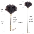 Ostrich Feather Duster with Extension Pole Up to 43 inch, Genuine ...