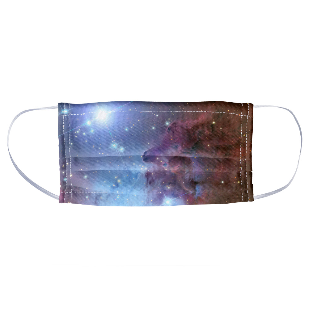 Fox Fur Nebula Constellation Galaxy 1-Ply Reusable Face Mask Covering ...