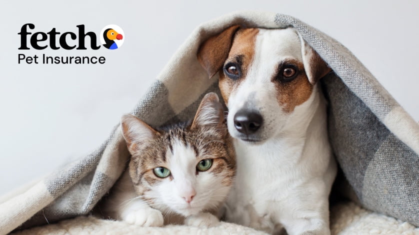 Walmart Pet Rx Store 1694727237