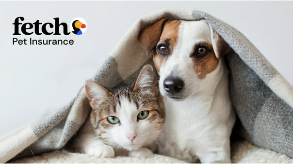 Walmart Pet Pharmacy - Walmart.com