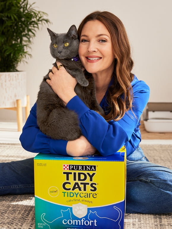 Cat Treats in Cats - Walmart.com