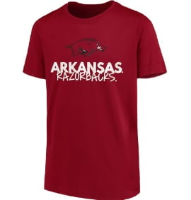 Arkansas Razorbacks Team Shop in NCAA Fan Shop - Walmart.com