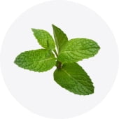 Fresh Perfume and Cologne in Fragrances by Scent - Walmart.com