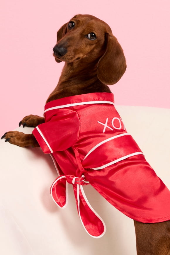 Dog Clothes and Costumes in Dogs - Walmart.com