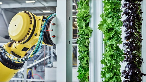 Earth Day - Walmart.com