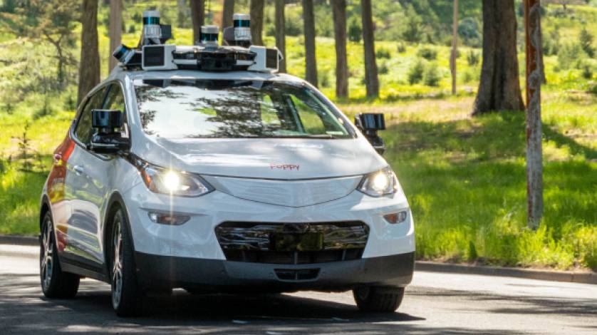 Self-driving delivery - Walmart.com