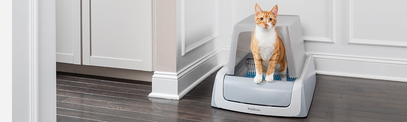 Cat Supplies - Walmart.com - Walmart.com