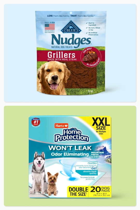 Dog Food in Dogs - Walmart.com