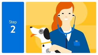 Walmart Pet Pharmacy - Walmart.com