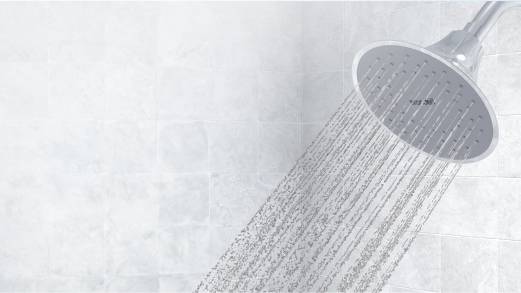 Earth Day - Walmart.com