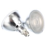 Flood Light Bulbs in Light Bulbs - Walmart.com