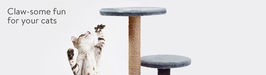 Cat Supplies - Walmart.com