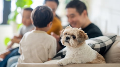 Walmart Insurance Services - Walmart.com