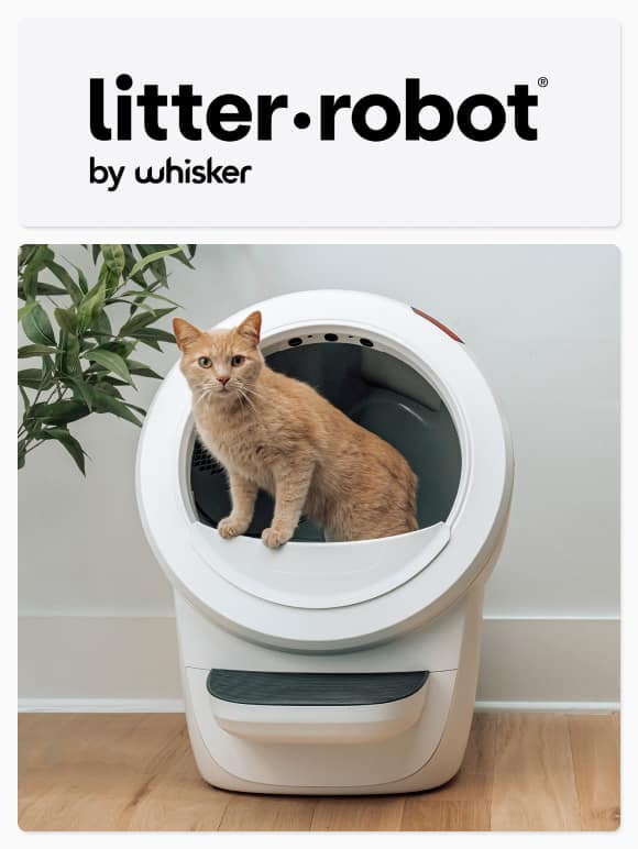 Clumping Cat Litter in Cat Litter and Accessories - Walmart.com