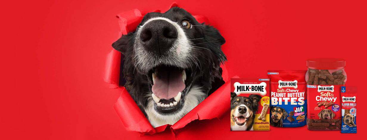 MilkBone - Walmart.com