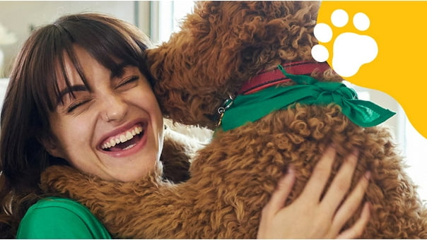 Pet Supplies – Walmart.com