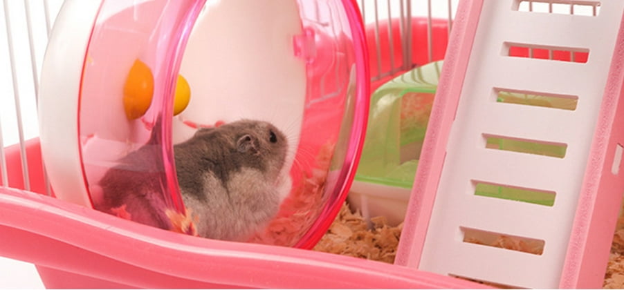 Small Animals and Supplies - Walmart.com - Walmart.com