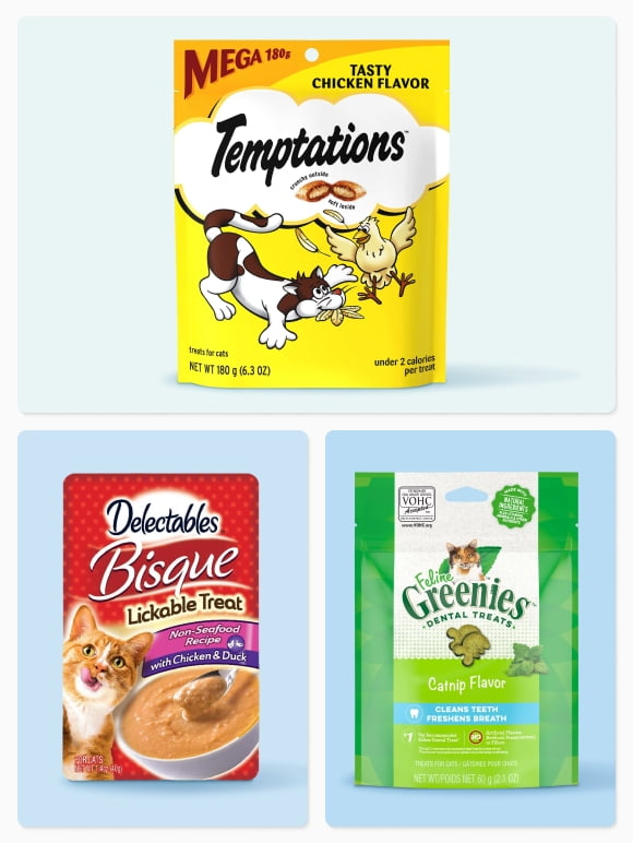 Cat Carriers in Cats - Walmart.com