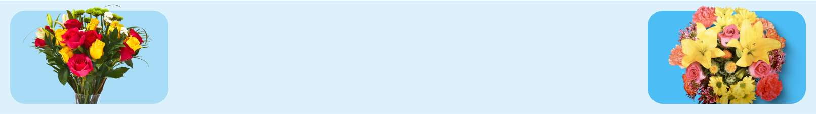 Flower Shop - Walmart.com