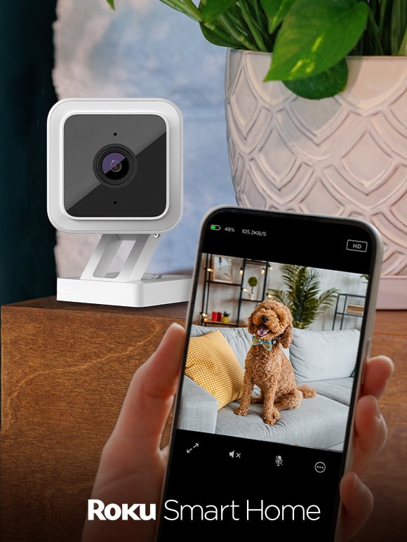 Security Camera - Walmart.com