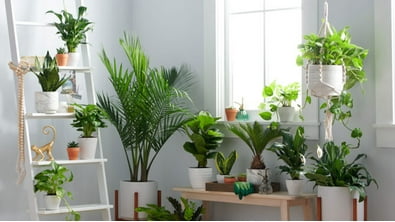 Food Gifts & Flower Shop - Walmart.com