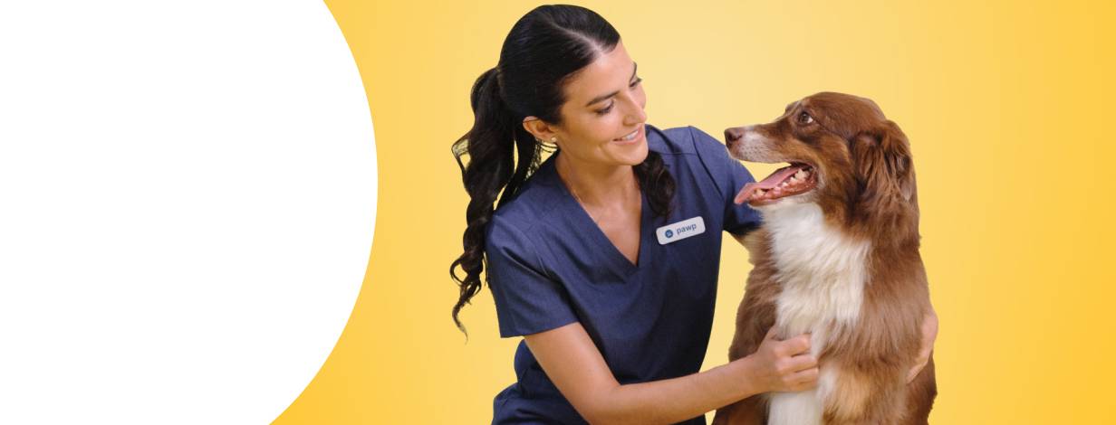 Pet Services - Walmart.com