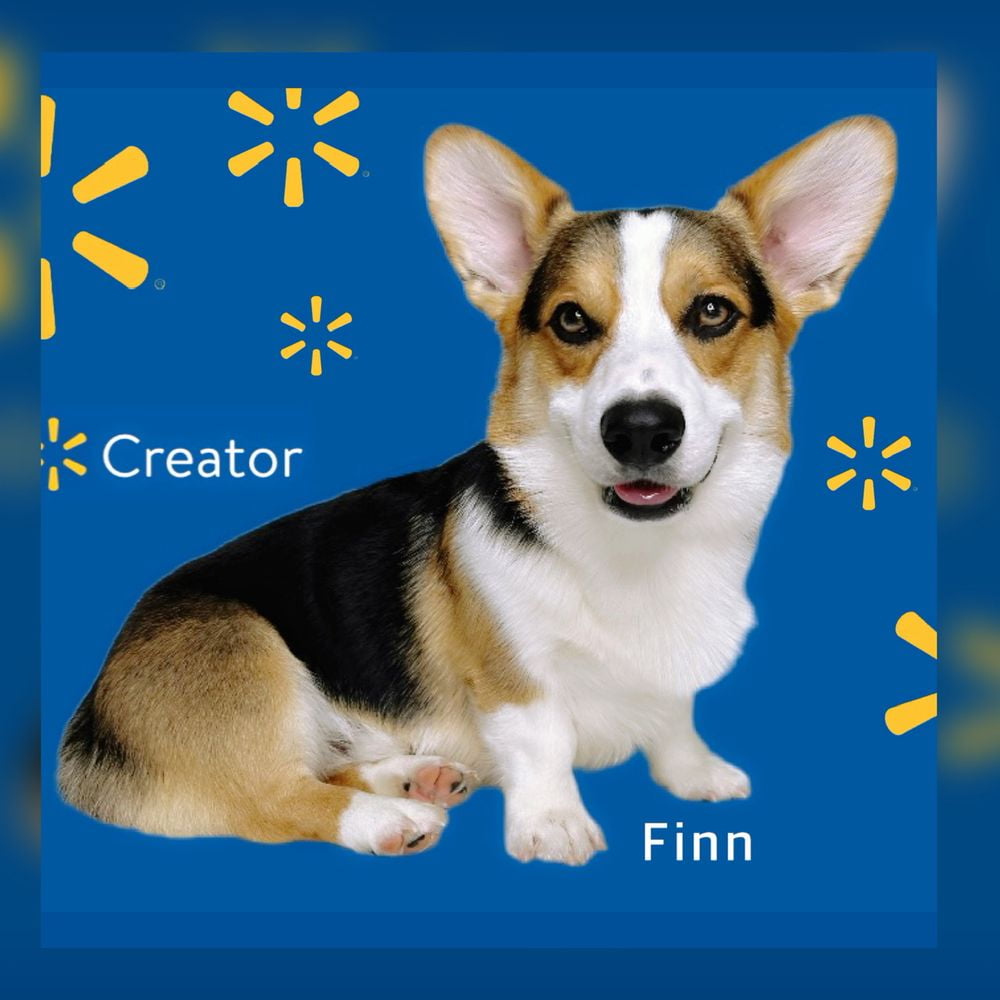 shop - Walmart Creator Storefront