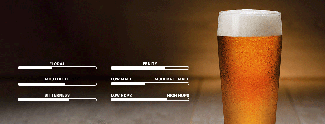 Craft Beer - Walmart.com