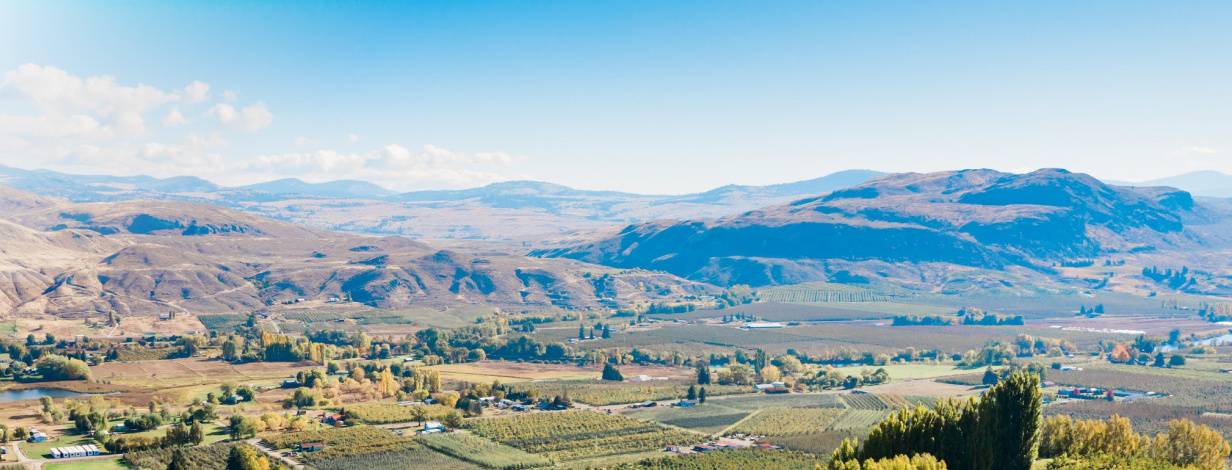 Fresh Produce - Walmart.com