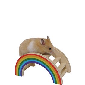 Small Animals and Supplies - Walmart.com