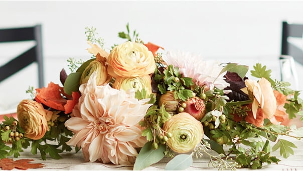 Party & Occasions - Walmart.com